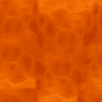 Metallic | Diamond Coatings Epoxy and Concrete Coatings